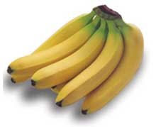 BANANO DEL CAFE PRODUCCION Y COMERCIALIZACION